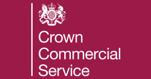 The Role of the Crown Commercial Service (CCS) in UK Procurement